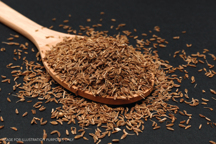 Jeera Masala Cordial Recipes – Mapro