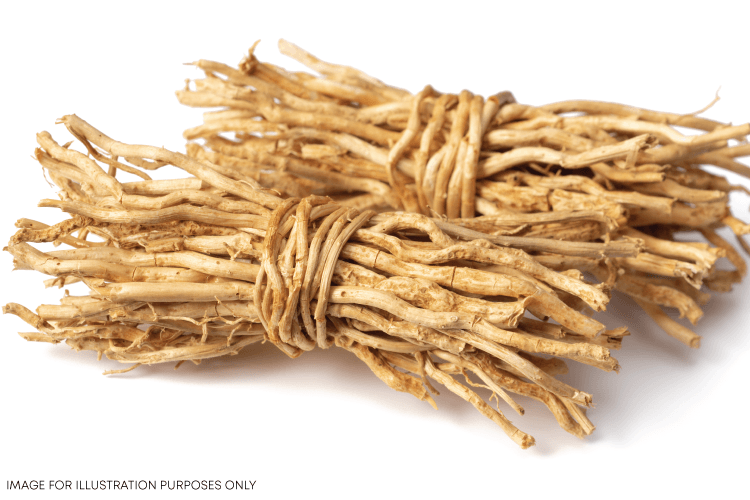 Khus Sharbat Recipes – Mapro