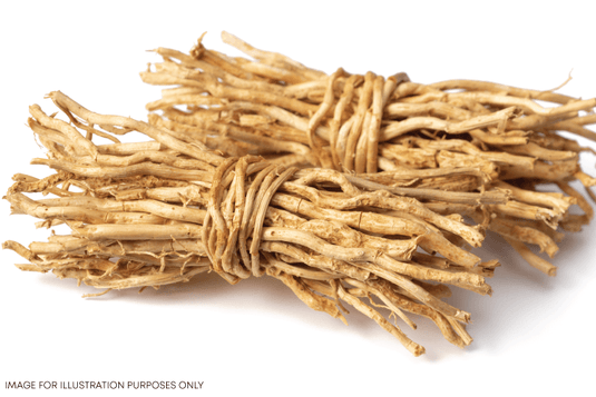 Khus Sharbat Recipes – Mapro