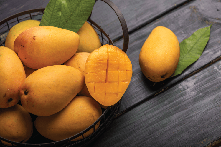 Mango Crush Recipes Mapro