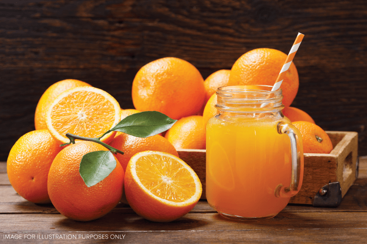 Santra Mantra Orange Squash Recipes – Mapro