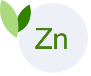 Chocolate Spread With Choco Chips – Mapro