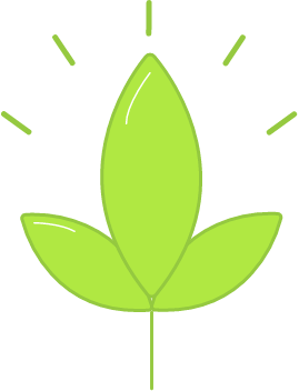 Rose Sharbat – Mapro